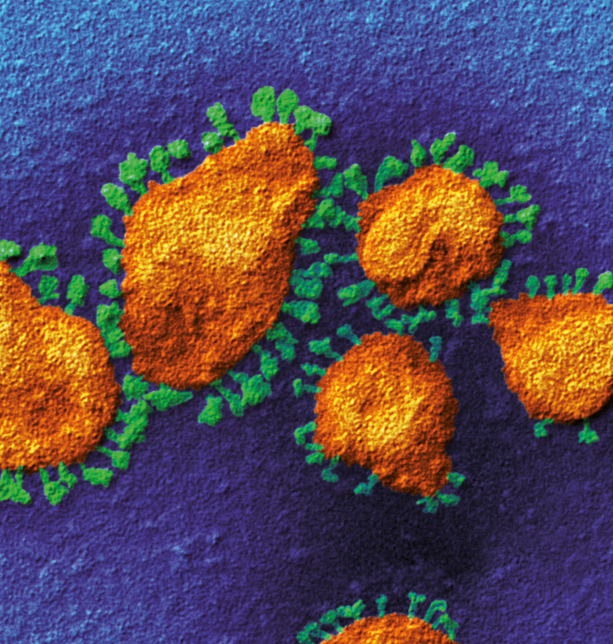BODE Chemie GmbH - A company of the HARTMANN GROUP